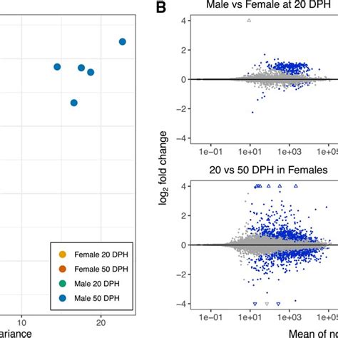 Sex Specific Developmental Changes In RA Transcriptome A PCA Plot Of Download Scientific