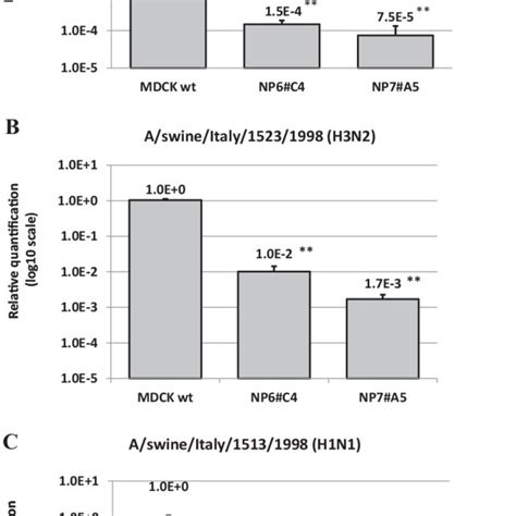 Effect Of Sirna Expression Against Different Viral Subtypes Sharing The