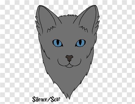 Domestic Short Haired Cat Whiskers Korat Tabby Wildcat Frame Male