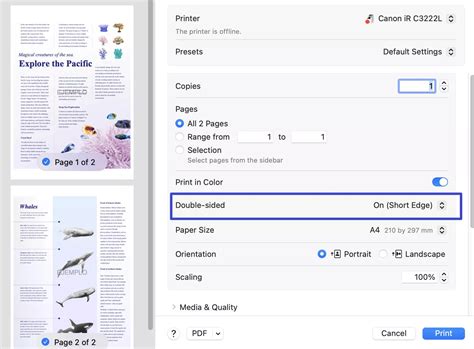 Quick And Easy How To Print Double Sided Pdf Updf