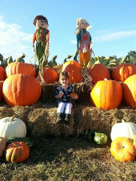 Pin By Bernee Mancuso On Ellie Pumpkin Patch Outdoor Pumpkin