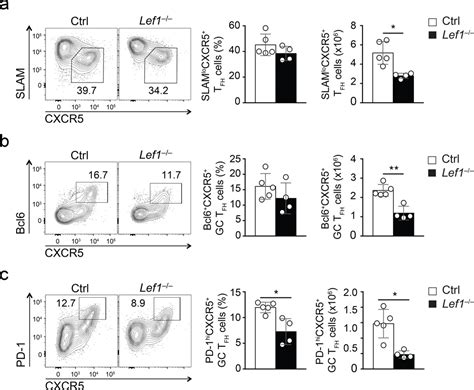 Lef 1 And Tcf 1 Orchestrate Tfh Differentiation By Regulating