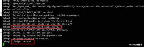 由linux内核bug引起ssh登录缓慢问题的排查与解决 上海软件外包公司 知力科技