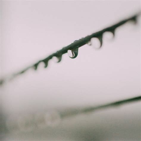 Premium Photo Close Up Of Water Drops On Glass