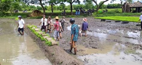 လပွတ္တာမြို့နယ်၊ ကြာကန်ကျေးရွာအုပ်စု၌ ကောက်စိုက်စက်ဖြင့် မိုးစပါးစိုက်ပျိုးခြင်း သရုပ်ပြပွဲ ကျင