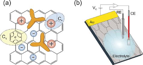 A Schematic Representation Of C E And C Q Contributions In A Download Scientific Diagram