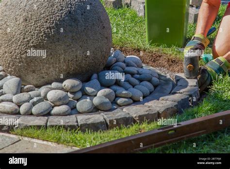 Parts Of A Hobby Worker With Work Gloves Arranging Basalt Cobblestones