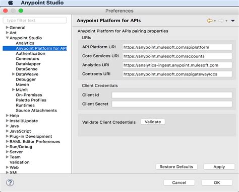 Deploy The Application In CloudHub Technical