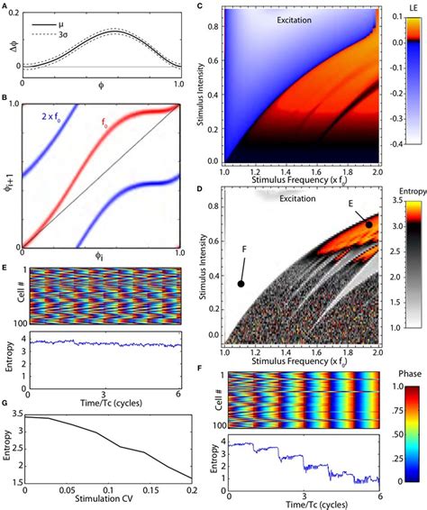 Stochastic Phase Map A The Phase Resetting Curve For A Model