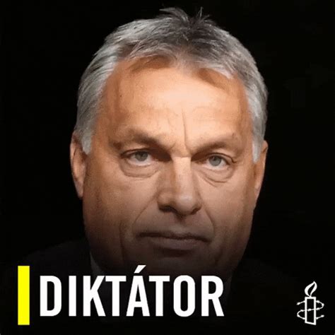 Hungary Footballer Adam Szalai Ok GIFDB