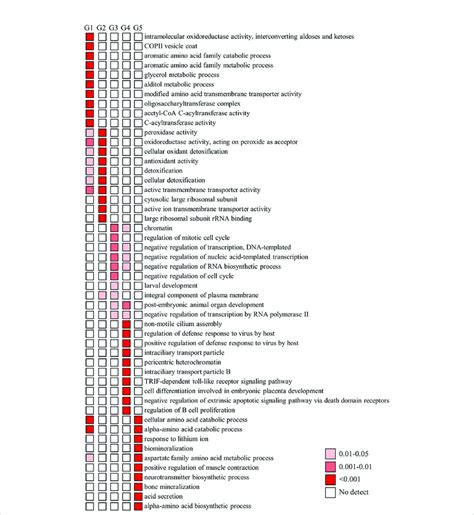Go Enrichment Analysis Of Degs The Dominant Go Gene Ontology