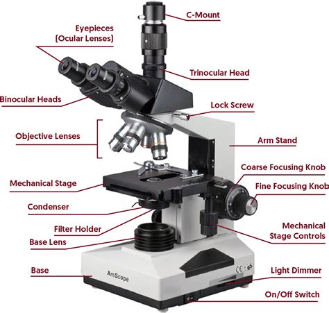 Inclination Joint Microscope Function At Scott Steward Blog