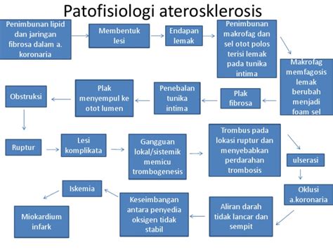 Patofisiologi Aterosklerosis Pdf