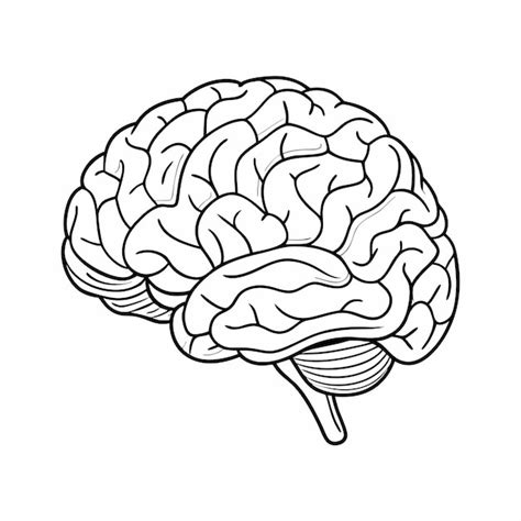 Premium Vector Brain Outline Vector Illustration 25