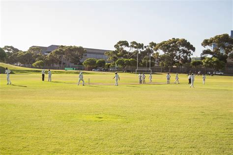 73 Cput Cricket
