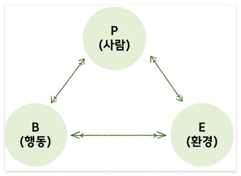 반두라의 주요 개념관찰학습 등 이론의 평가반두라의 사회학습이론 ②