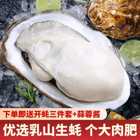峰贝活鲜山东乳山生蚝 鲜活牡蛎海蛎子 刺身现捕现发海鲜水产贝类 3XL号净重4 5斤 约12 18只图片 价格 品牌 评论 京东