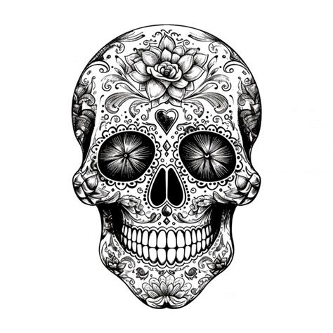 Premium Photo Sugar Skull Sketch