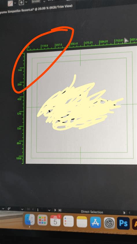 How Do I Remove This Green Thingy Radobeillustrator