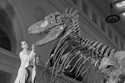 Tyrannosaurus Rex Fossils Found