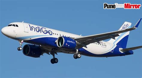 Indigo Flight Delay Fallout Passenger Assaults Captain After 13 Hour Wait