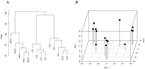 Genome Wide Expression Suggests Three Distinct States In The T Gondii