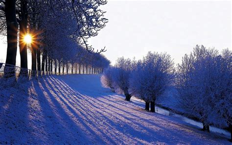 Fondo De Pantalla De Paisaje Invernal 2560x1600
