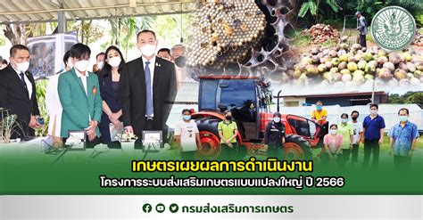 โครงการระบบส่งเสริมเกษตรแบบแปลงใหญ่ ศูนย์ข่าวกรมส่งเสริมการเกษตร