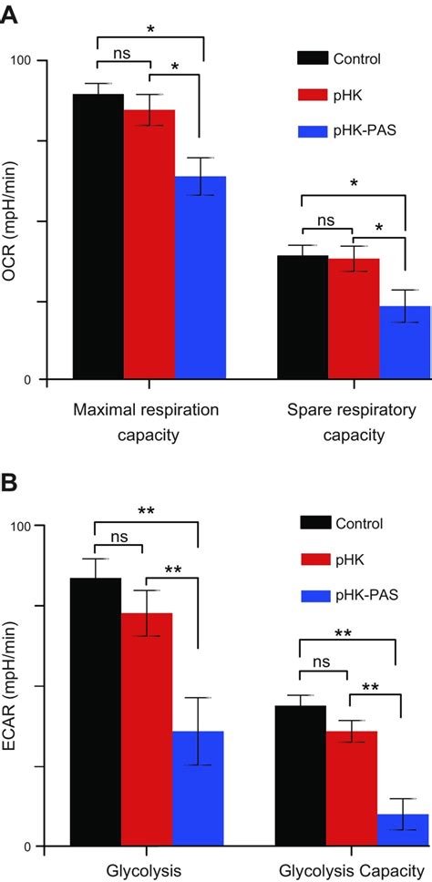 Hexokinase Ii Derived Cell Penetrating Peptide Targets Mitochondria And
