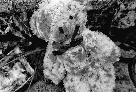 Apa Itu Hitori Kakurenbo Permainan Horor Dengan Makhluk Halus Ala Jepang