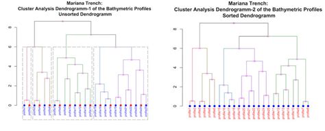 R Based Dendrogram Tree Of The 25 Profiles Left Unsorted Right