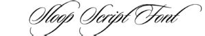 Sloop Script Font Dafont Style