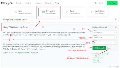 【sdu项目实训2019级】阿里云服务器部署与环境配置ubuntu之redismongodb的安装配置ubuntu中可以同时安装