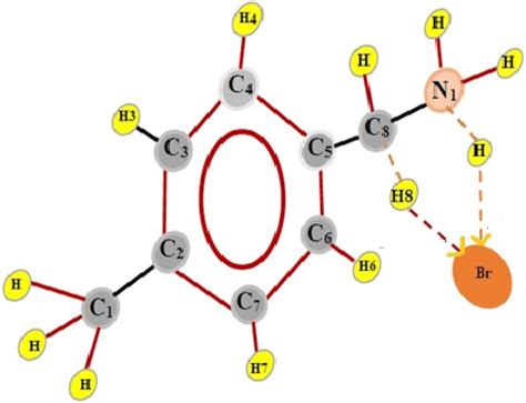 Schematic Representation Showing CHBr And NHBr Interactions Arrow Download Scientific