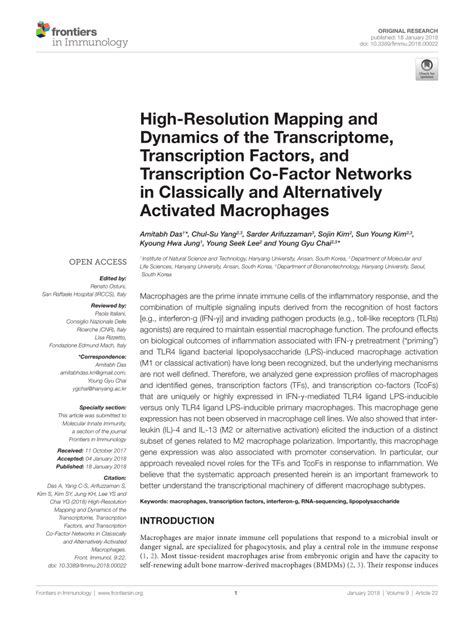 Pdf High Resolution Mapping And Dynamics Of The Transcriptome