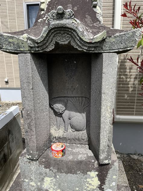 【化け猫塚】九州地方の都市伝説・妖怪・怖い民間伝承まとめ【鬼のミイラ】 Renote リノート