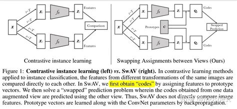 swav：unsupervised learning of visual features by contrasting cluster