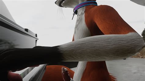 Rule 34 Anthro Anthro Only Fox Outside Piano Rexouium Tagme Vr Media