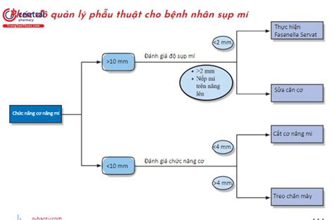 Hướng Dẫn Vẽ Sơ đồ Dòng Dữ Liệu Cấp 0 Chuẩn Xác Và Tiện Lợi