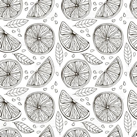 레몬 크립티트루스 라임의 원활한 패턴 흰색 배경에 격리 열대 여름 과일입니다 상세한 감귤 류 그림 차 주스 천연 화장품에 대 한 좋은 흑백 스케치 손으로 그린 레몬에 대한
