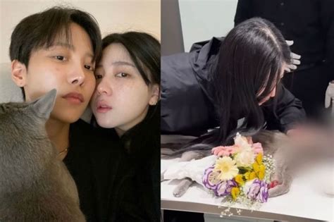 청소업체에 창문 열지 말라했는데반려묘 추락사에 유튜버 오열