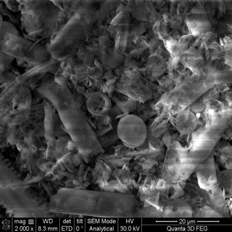 Pdf Phase Transformations Of Amorphous Sio In Diatomite At Temperature Range Of C