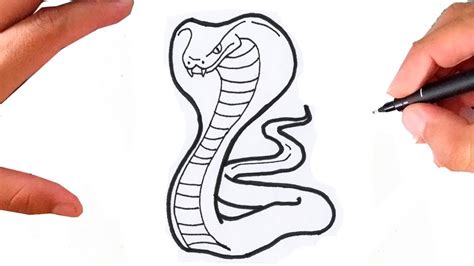 Como Desenhar Uma Cobra Youtube