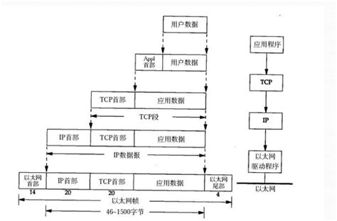 我的网络开发之旅——tcp ip协议分析 ip协议开发 csdn博客