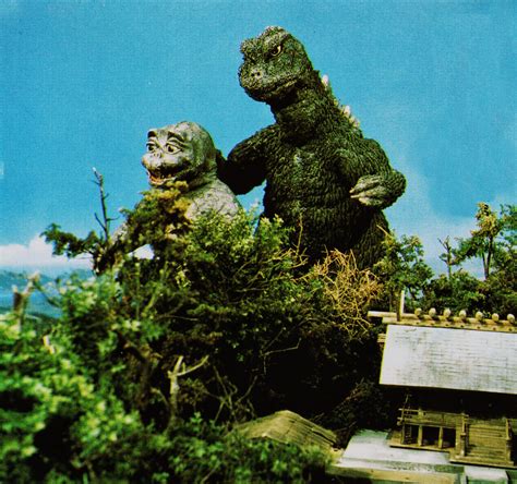 Image Dam Godzilla And Minilla  Gojipedia Fandom Powered By