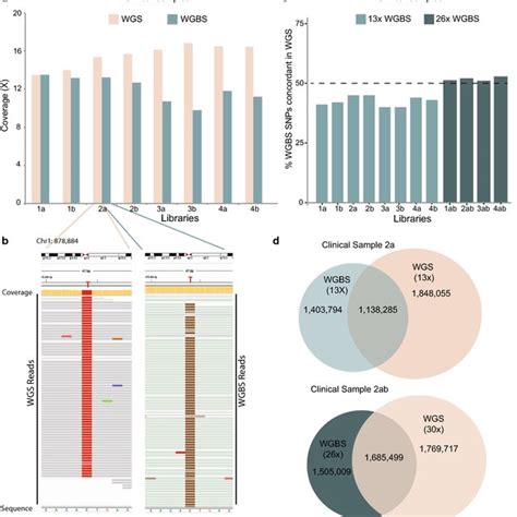 Pdf Guidelines For Whole Genome Bisulphite Sequencing Of Intact And