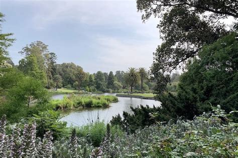 20 Best Picnic Spots In Melbourne Picnic Areas In Victoria Artofit