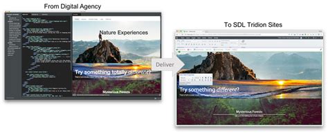 Instant Campaign V13 Tridion Developer Articles And Tutorials