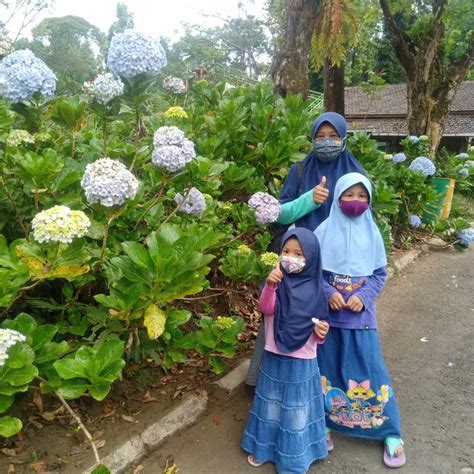 Seru Seruan Di Taman Labirin Dan Air Terjun Coban Rondo Dekamuslim