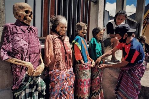 8 Budaya Unik Suku Toraja Telisik Id